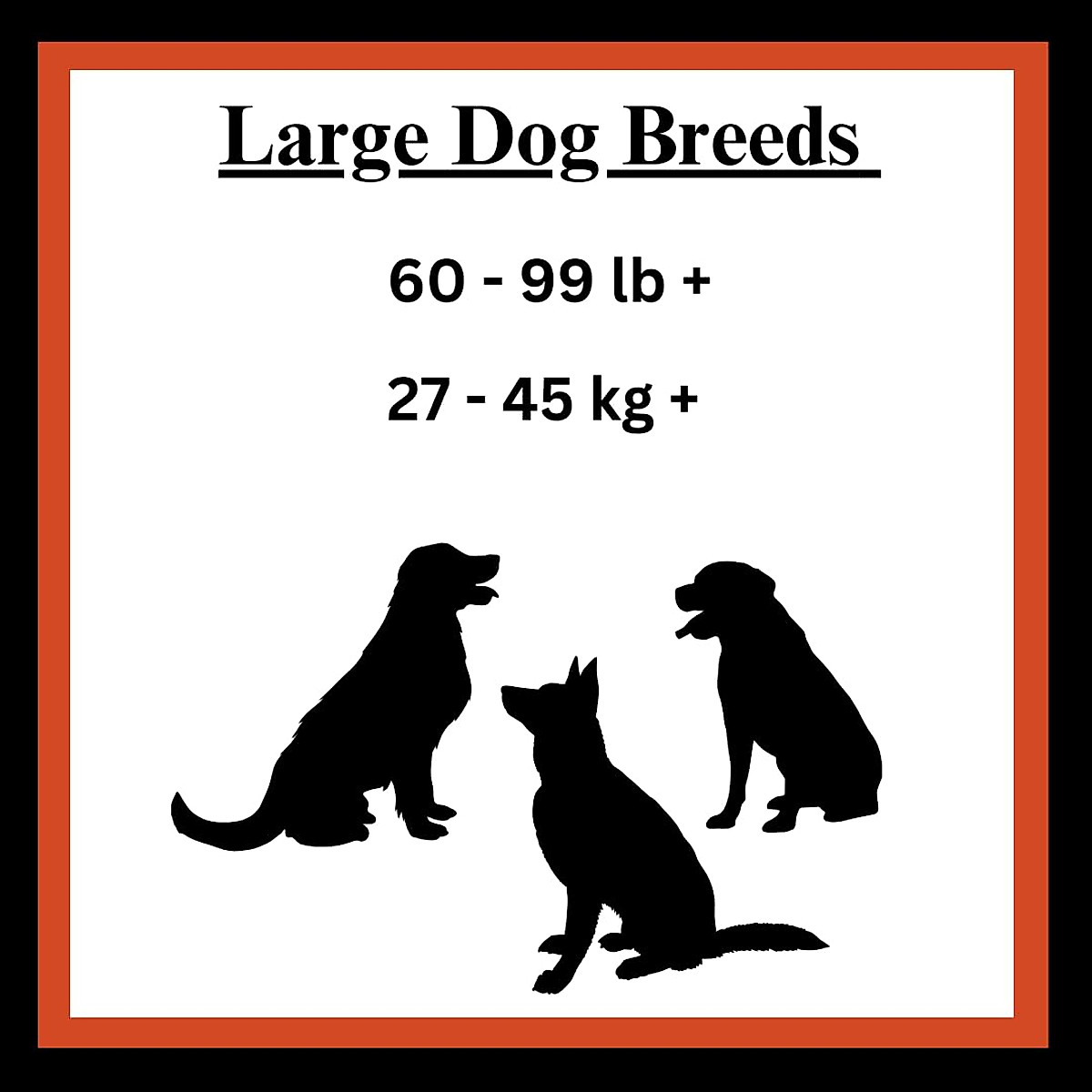AccessiPets Filled Dog Bones Bundles for Large Dogs, Large Stuffed Femur Bone Bundle with 1 Dog Waste Roll, Long-Lasting Dental Treats for Aggressive Chewers (Hollow Bone)