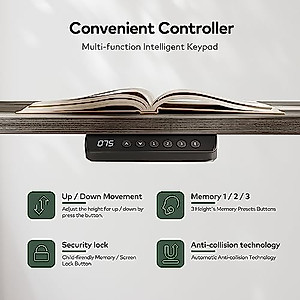 FEZIBO 48 x 24 Inch Height Adjustable Electric Standing Desk with Double Drawers&Keyboard Tray, Stand Up Desk with LED Strips, Sit Stand Desk with Monitor Stand, Rustic Grey