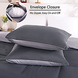 CAROMIO Duvet Cover Queen Size, 3 Pieces Double Brushed Microfiber Duvet Cover Set, All Season Soft Reversible Duvet Cover with Zipper Closure, Charcoal/Silver Grey, 90x90 Inches
