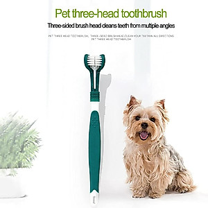 Dog Toothbrush, Triple Headed Toothbrush Dog Toothbrush for Pet ...