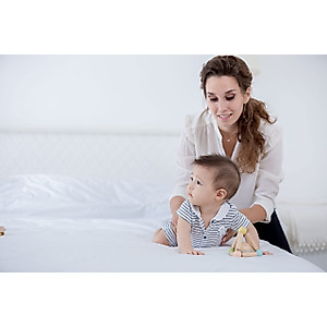 PlanToys Wooden Clutching Triangle Baby Toy with Gentle Sound in Two-Toned Ball (5256) | Pastel Color Collection |Sustainably Made from Rubberwood and Non-Toxic Paints and Dyes