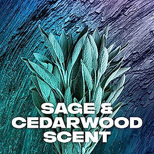 AXE Apollo Deodorant Stick 4 Count For Long Lasting Odor Protection, Sage And Cedarwood Men's Deo, Aluminum Free 3oz