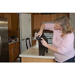 Plaque Attack Pet Dental Spray