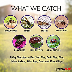 DynaTrap DT1775 Large Mosquito & Flying Insect Trap – Kills Mosquitoes, Flies, Wasps, Gnats, & Other Flying Insects – Protects up to 1 Acre