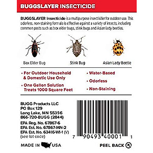 BUGGSLAYER Insecticide Concentrate 16-oz