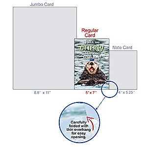 NobleWorks - 1 Happy Birthday Card with Funny Animals - Wildlife and Pet Humor, Fun Birthday Celebration Notecard - Otterly Awesome B C6574BBDG