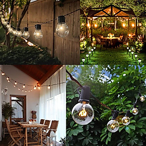 ETwinCoo Wax Warmer Light Bulbs, G50 25 Watt for Full Size Scentsy Warmers, G16.5 Globe E12 Base Clear - Long Life-Span and Melt Wax Fast, 120 Volt (6 Pack)