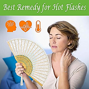 OMyTea® "Sexy Lace 8.66"(22cm) Women Folding Hand Fan with Bamboo Frame - with a Fabric Sleeve for Protection for Gifts - Chinese/Japanese Vintage Retro Style (White)