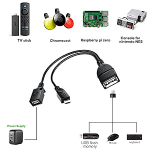 ANDTOBO 2-in-1 Micro USB (OTG Cable with Power) Adapter Replacement for Fire Stick 4K /Host Devices/PlayStation Classic etc- 2 Pack