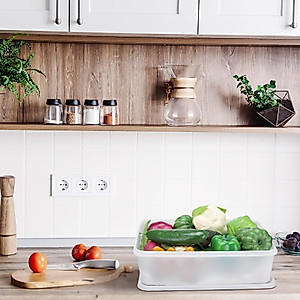 Suzile 10 Pcs Plastic Tub with Lids 14.17 x 9.45 x 4.33 Inch Commercial Tote Box Deep Restaurant Containers with Lids Fish Food Service Bus Tubs for Meat Storage Washing Dishes Art Supplies Toy(White)