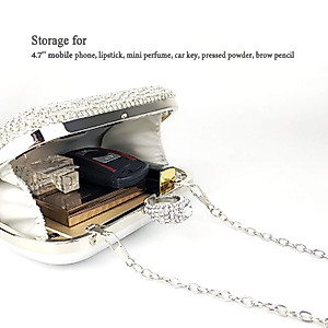 zebrum Womens Evening Clutch Bag Designer Evening Handbag Hand Bag,Lady Party Wedding Clutch Purse (Silver- Rhinestone Tassel)