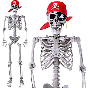 Halloween Decorations - 5 Ft Placeable Halloween Skeleton - Full Body Life-Size Skeleton Prop with Movable Joints for Halloween Outdoor Yard Haunted House Prop Decoration