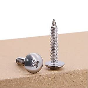 #6 x 1/4 (100 pcs) Truss Head Wood Screws, Self Tapping Screws, 304 Stainless Steel 18/8, Mushroom Head, JISB1122T