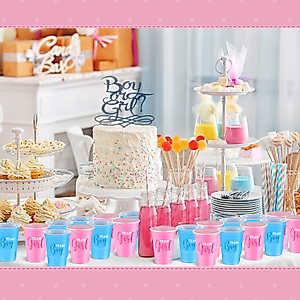 Norme 30 Pcs Gender Reveal Plastic Cups Team Boy Team Girl Disposable Blue Pink Plastic Cups Gender Reveal Party Supplies for Beverage Drink Tableware(16 oz)