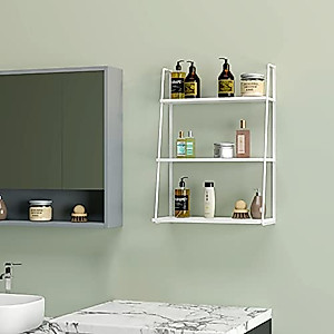 WELLAND 3-Tier Display Wall Shelf Storage Rack Wall Rack Holder Rack (3-Tier, White)