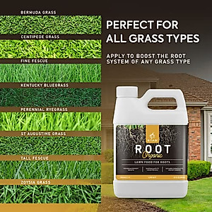 Root Organic Lawn Fertilizer - Grass Fertilizer for Lawn with Potassium for Root Growth, Lawn Fertilizer That Conditions Soil, No Harsh Chemicals Lawn Care, 32 oz Lawn Food for 5,000 sq. ft.