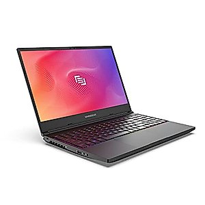MAINGEAR Vector Pro 2 (2022) 15.6 inch RTX 3070 Ti Gaming Laptop, AMD Ryzen 9 6900HX Processor, NVIDIA GeForce RTX 3070 Ti 8GB GPU, 15.6 inch 165Hz QHD Display, 32GB DDR5 RAM, 1TB NVMe SSD, Win 11 Pro