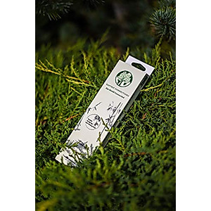 Bamboo Straws Drinking Reusable- Includes FREE Cleaning Brush and FREE Travel Pouch- Eco-Friendly, Zero Waste, Compostable and Biodegradable Straw for Tea, Coffee, Water and Juice- 10-Pack