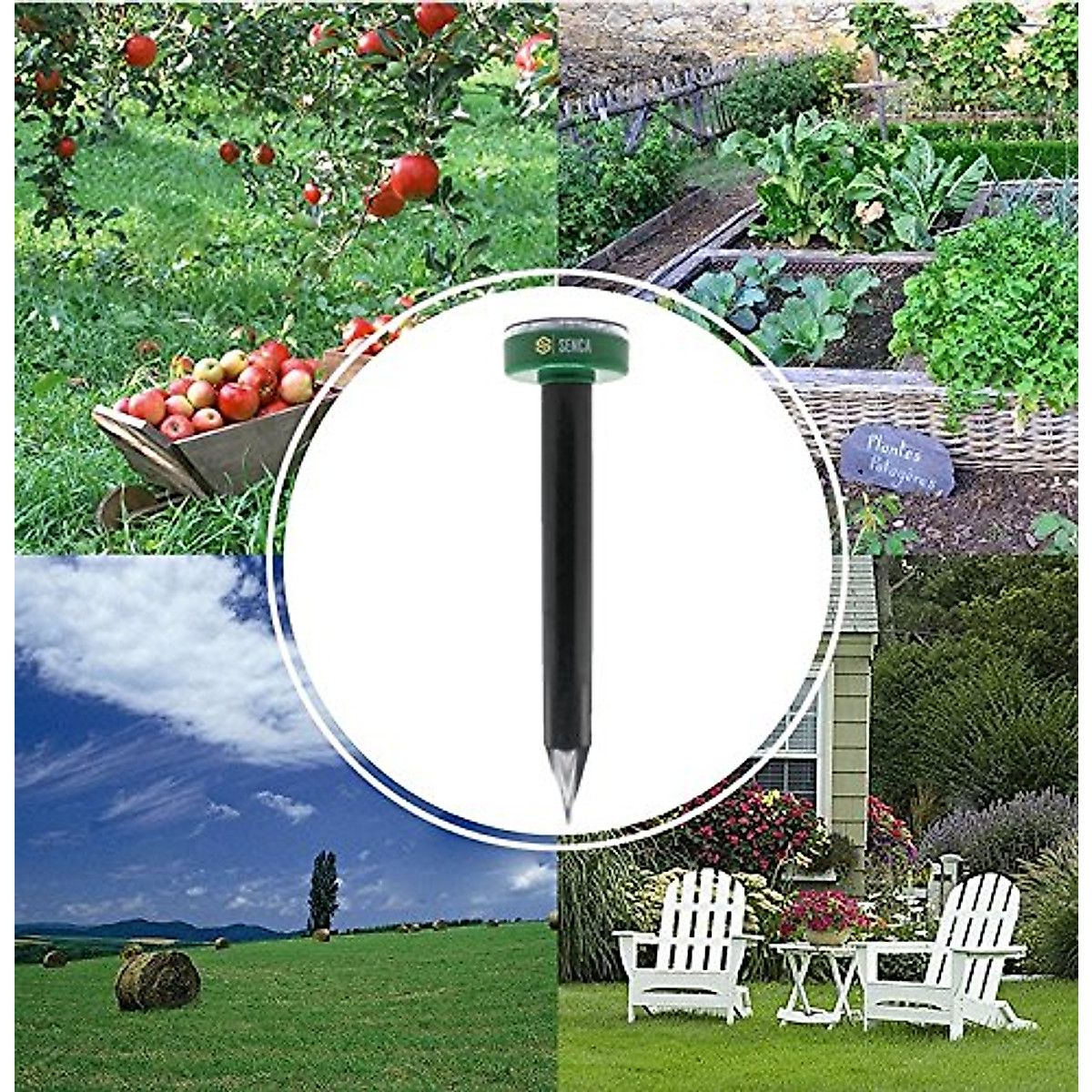 Senca Upgraded Version Solar Powered Sonic Mole Repellent Rodent Repellent Pest Deterrent, Chaser Mole, Gopher, Vole, Snake Repellent for Outdoor Lawn Garden Yards Pest Control (4)