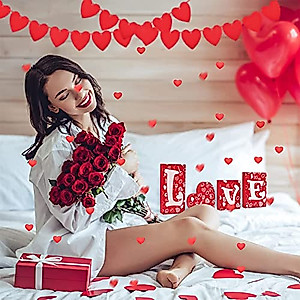 CRAFFANCY Love Decoration Set, Heart Sponge Petals Felt Heart Hanging String Heart Garland for Festival Party Valentine’s Day Decor