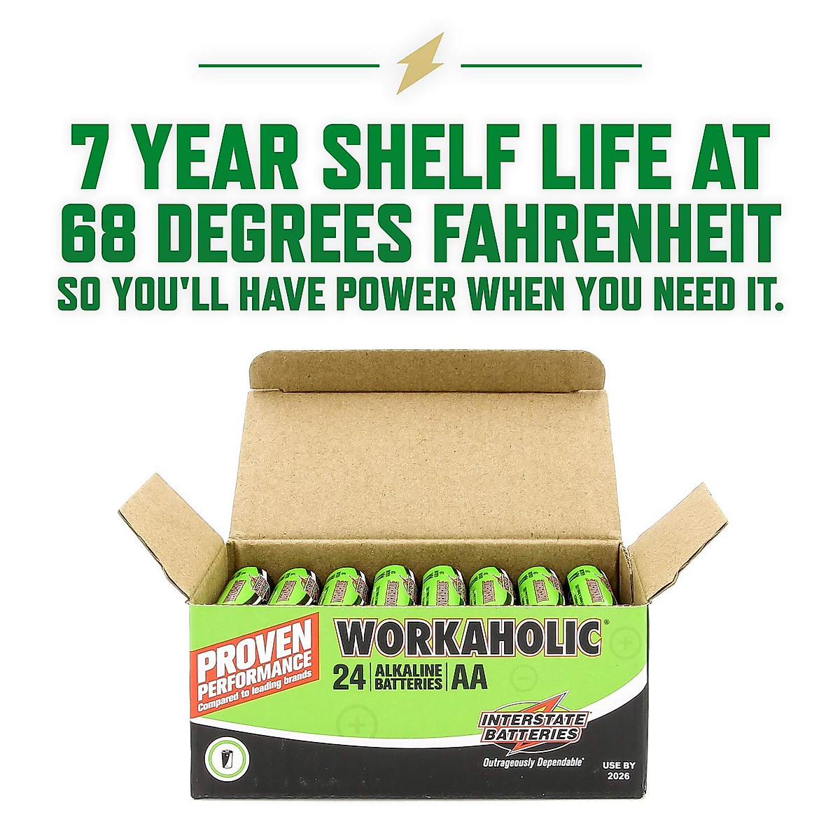 Interstate Batteries AA Alkaline Battery (24 Pack) All-Purpose 1.5V High Performance Batteries - Workaholic (DRY0070)