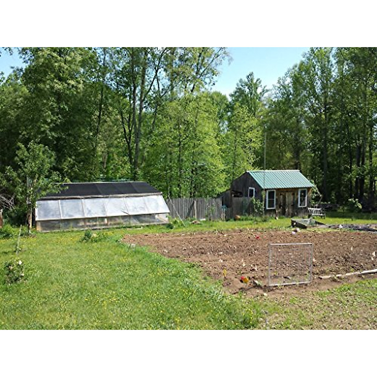 Aquaponics Bell Siphon Kit For IBC Growbed 12" Media: Easily Adjustable! Over 7000 Siphons Sold Worldwide So Buy With Confidence!