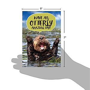 NobleWorks - Funny Happy Birthday Note Card with Envelope (4.63 x 6.75 Inch) - Cute River Otter, Animal Stationery for Kids, Adult - Adorable Congrats Gift for B-day - Otterly Awesome C6574ABDG