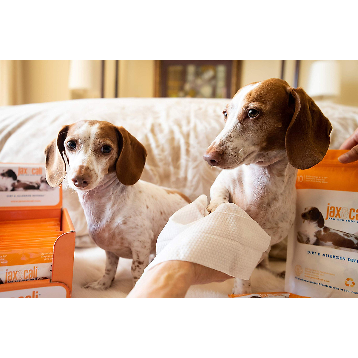 JAX & CALI Pet Wipes, Natural Textured Paw and Body Wipes, Hypoallergenic, pH Balanced, Vitamins B3 & E, Soothing Aloe, No Fragrance, Holistic, Cruelty Free, Dogs & Cats, Extra Large 8"x10", 20 Wipes