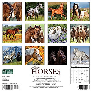 Willow Creek Press Horses Monthly 2024 Wall Calendar (12" x 12")