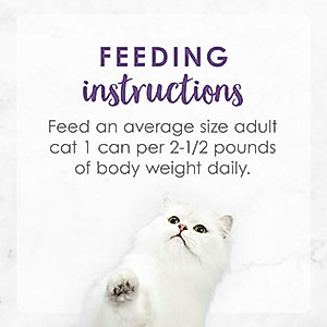 Purina Fancy Feast Wet Cat Food, Medleys Wild Salmon Florentine With Garden Greens in Delicate Sauce - (Pack of 24) 3 oz. Cans