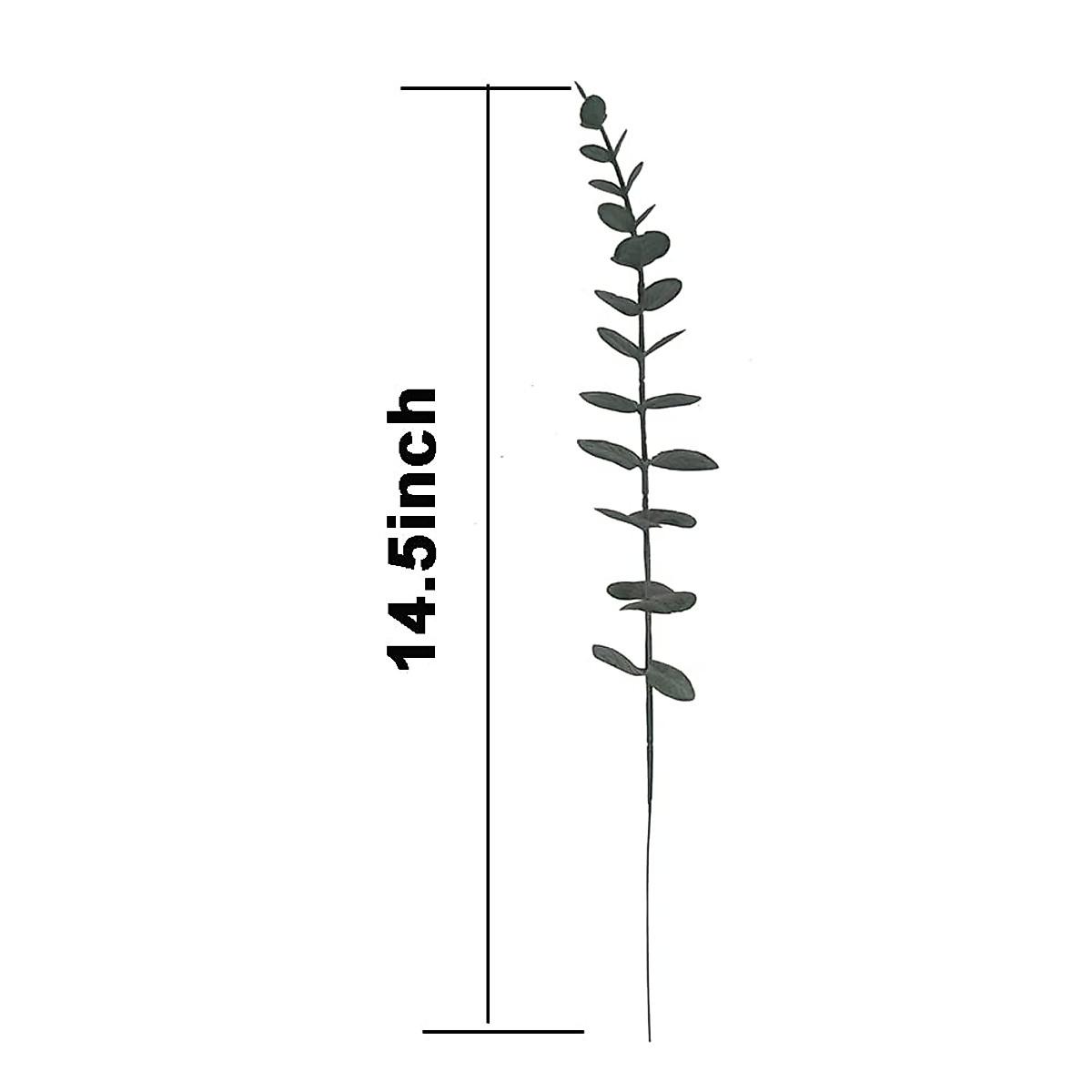 Fawoert 10Pcs Artificial Eucalyptus Leaf Stem, Gray-Green Artificial Plant Branches for Home Garden Core Wedding Decoration.