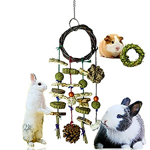 Rabbit Chew Toys for Teeth, Handmade Rabbit Toys for Bunnies, Natural Guinea Pig Chew Toys with Balls, Timothy Hay, Apple Wood for Chinchilla Gerbil