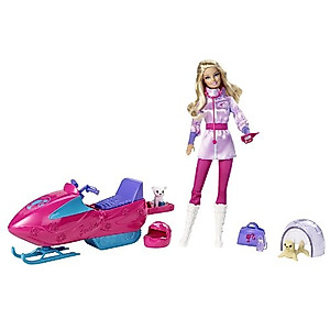 Barbie I Can Be Arctic Rescuer Playset