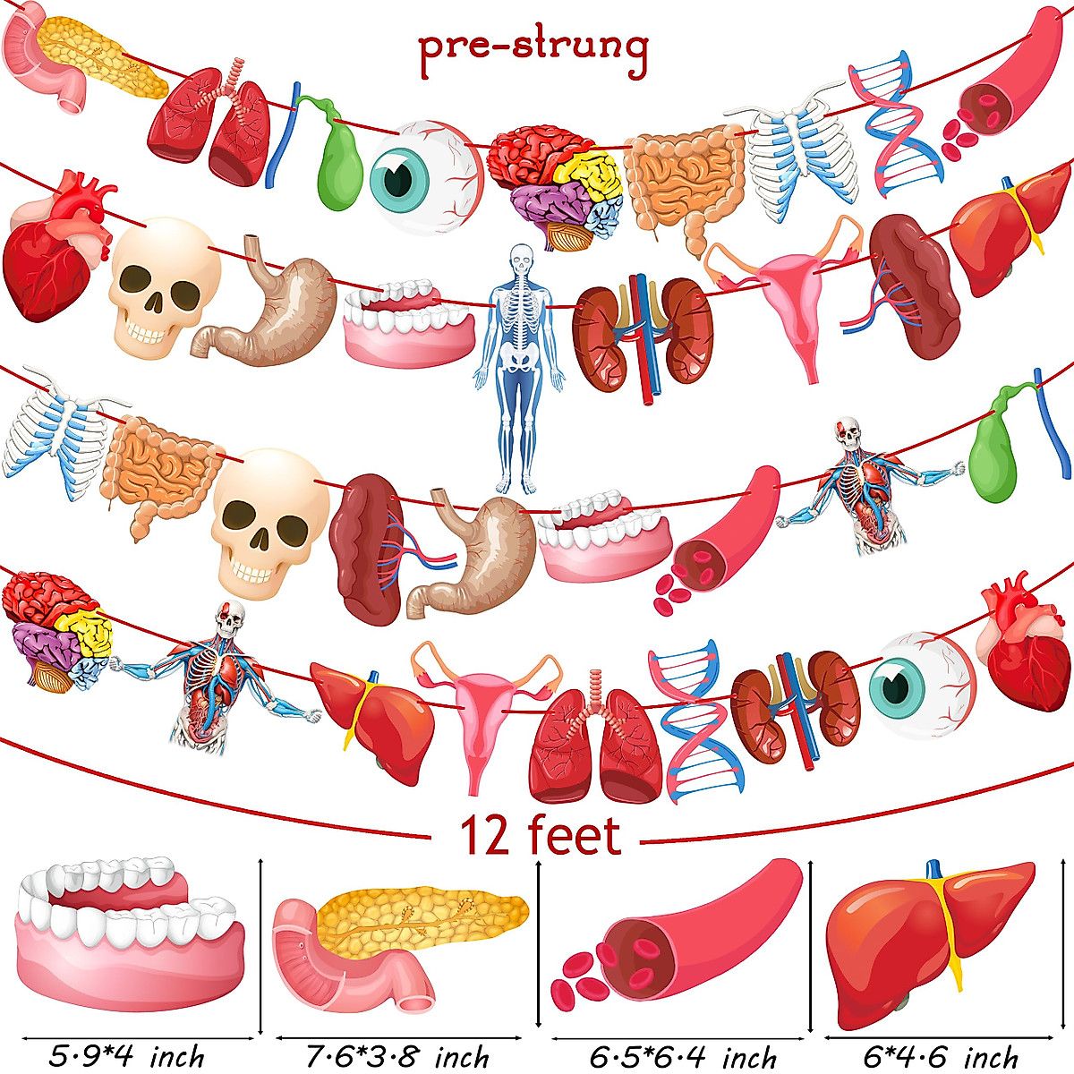 4pcs Human Anatomy Body Part Theme Banners Human Anatomy Party Decorations Body Part Party Supplies for Doctors Birthday Party Nurse Graduation Party Supplies