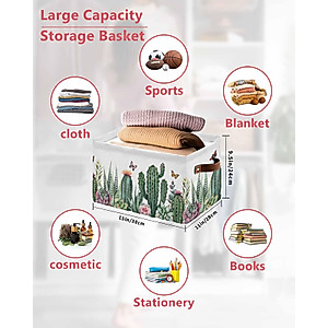 Tropical Cactus Cube Storage Organizer Bins with Handles,15x11x9.5 Inch Collapsible Canvas Cloth Fabric Storage Basket,Books Bin Boxes,Closet Green Summer Fall Succulent Plant Butter-fly 1 Pack