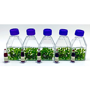 Algae Research and Supply: Algae Beads (Ready-to-go Algae Beads in Indicator- snap vials (x10))