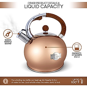 ELITRA HOME Stove Top Whistling Fancy Tea Kettle Stainless Steel Tea Pot with Ergonomic Handle 2.7 Quart / 2.6 Liter (ROSE GOLD)