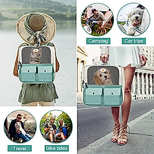 Top tasta Cat Backpack Carrier, Airline Approved, Ventilated Design, Breathable Mesh for Small Cats and Dogs for Hiking and Camping, Carry Up to 25 Pounds (Light Blue)