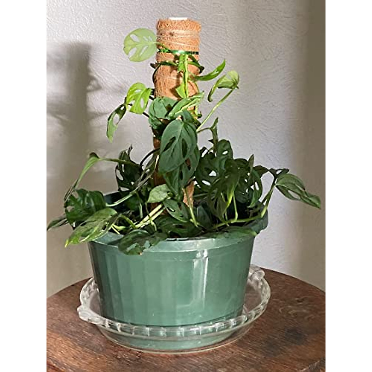 Rcraft 63 Inch Tall Moss Pole for Plants Monstera 4 Pack with Hemp Rope, Bendable Stakes for Indoor Plants Support/Totem Pole, Climbing Plants Sticks for Growth- Perfect for Medium/Large House Plants