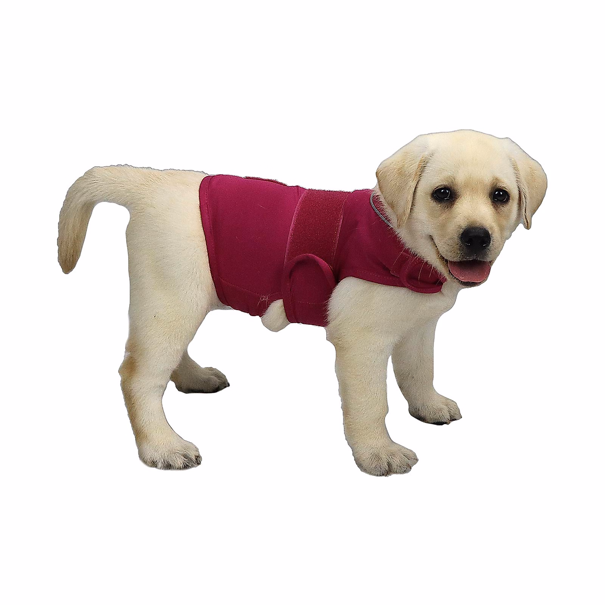 cattamao Comfort Dog Anxiety Relief Coat, Dog Anxiety Calming Vest Wrap for Thunderstorm,Travel,4th of July Fireworks,Vet Visits,Separation Anxiety Relief for Dogs (S, Rose)