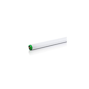 BULB FLR T12 48" CW 60W