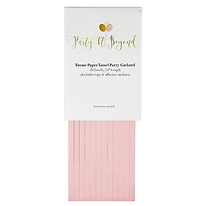 Tissue Paper Tassel DIY Party Garland Decor for All Events & Occasions - 20 Tassels Per Package (Rainbow Pastel)