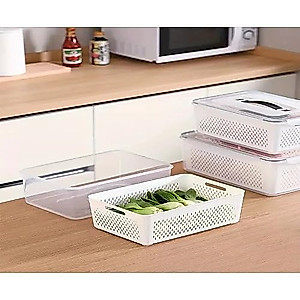 Large Size Food Storage & Fresh Produce Container with Built-in Removable Strainer - Fresh Produce Saver - BPA-Free, Leak-Proof Lid (Large)