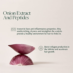 Tara Onion Remedy Hair + Root Revival System. Cruelty-Free: 3-Step Treatment – Shampoo + Conditioner + Serum for Stronger, Thicker and Longer hair. Free from Parabens, Sulfates and Mineral Oils
