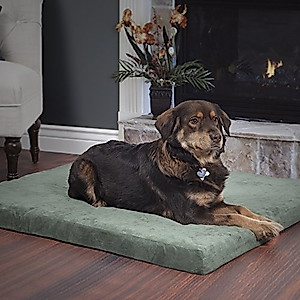 PETMAKER Dog Bed with Removable Cover – 25.5x19 Pet Bed - 3-Inch Egg Crate Style Foam Orthopedic Dog Bed, Microsuede, Non-Slip Crate Bed (Forest)