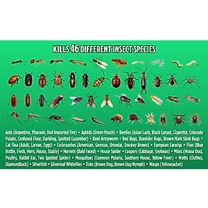 Grandpa Gus's Natural Advanced Pest Killer Concentrate, Bundled with a 32 oz Empty Spray Bottle, Plant-Based Actives Quick Kill 46 Insect Species, Indoor & Outdoor, Light Scent, 3.7 fl oz (Pack of 2)