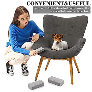 Loopeer 2 Pcs Pet Hair Remover Pumice Stone for Dog Cat Hair Removal Cleaning Pet Fur Stone 6 Inch Dog Fur Cleaning Tool for Car Interior Bedding Carpet Couch Furniture(3.74 x 2 x 1.6 in)