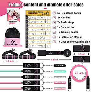 Resistance Bands with Handles for Women, 5 Level Exercise Bands Workout Bands for Physical Therapy, Yoga, Pilates, Door Anchor, Storage Pouch(colour)