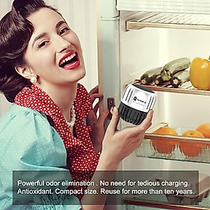 Refrigerator Deodoriser 4-Pack The world's best Fridge deodorizer odor eliminator Closet deodorizer, no need to plug in Better performance than bamboo charcoal air purification bags and baking soda