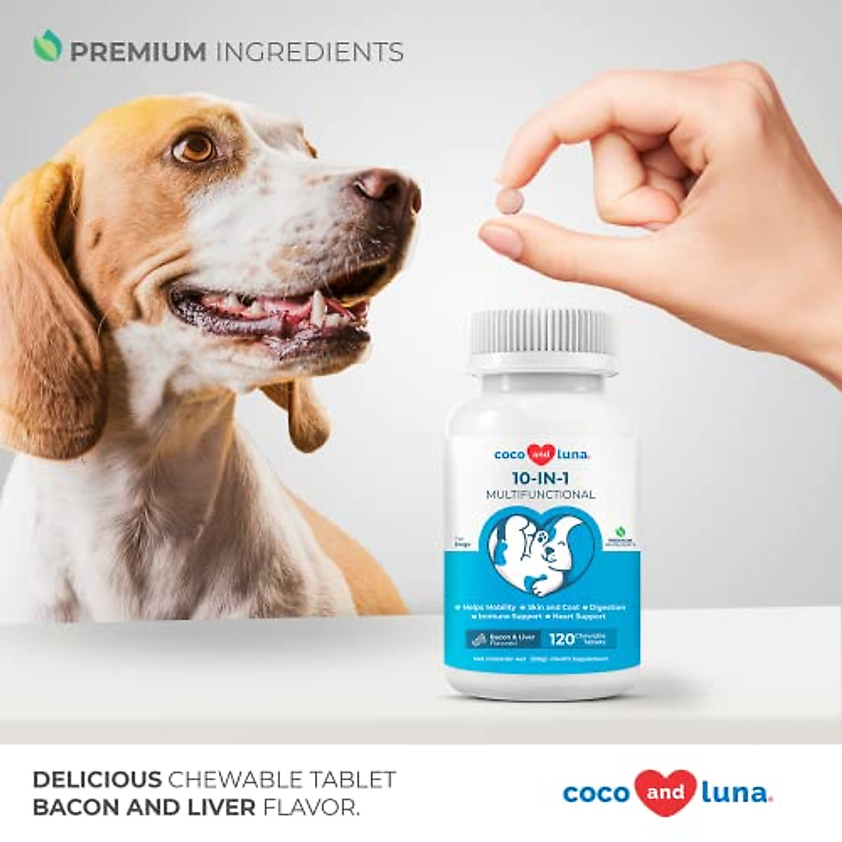 10 in 1 Multivitamin for Dogs - 120 Chewable Tablets - Hip and Joint Support with Glucosamine and Chondroitin - Omega Fish Oil & Vitamins with Coq10 for Skin & Heart Health, Gut & Immune Support